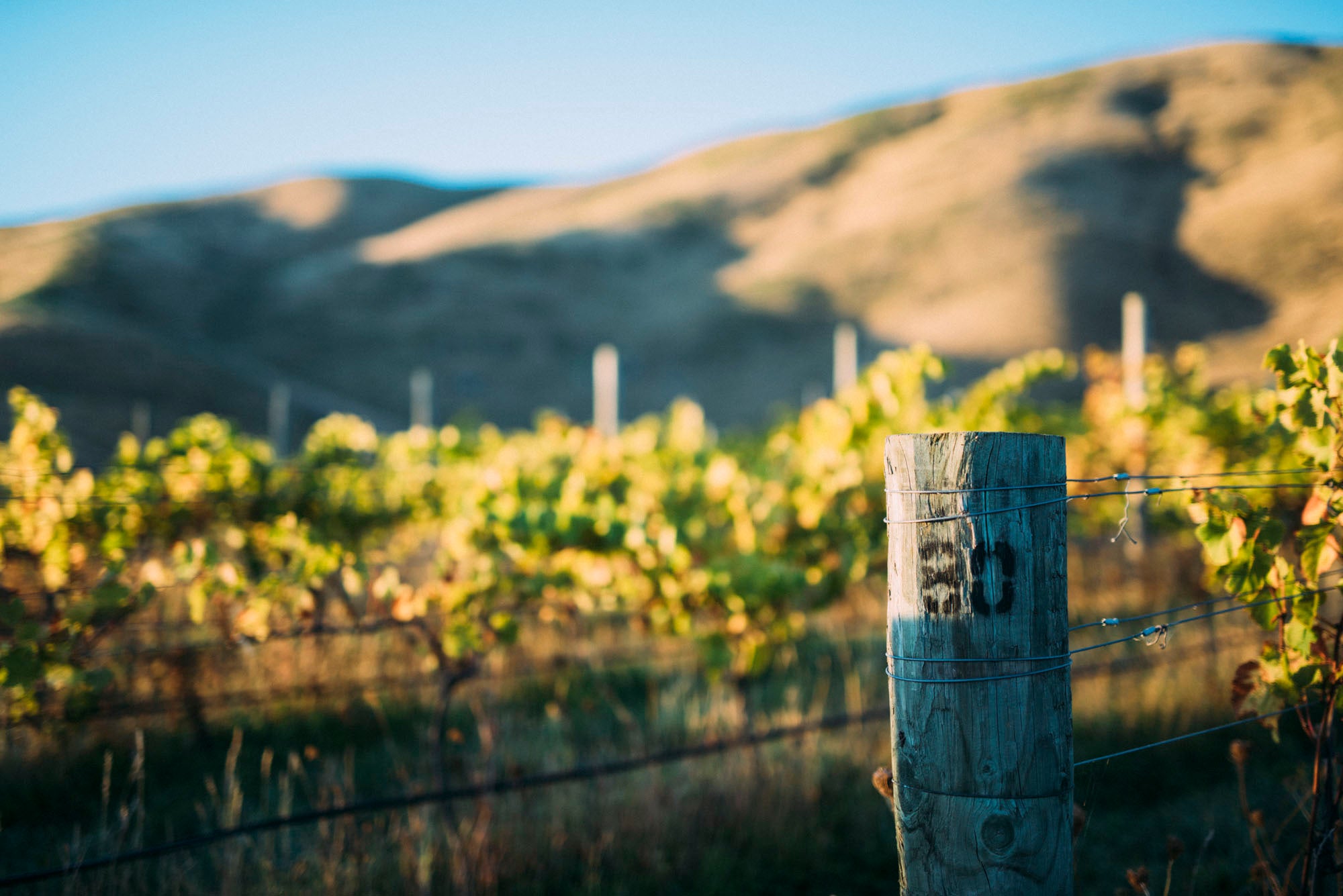 Contact – Odyssey Wines Auckland